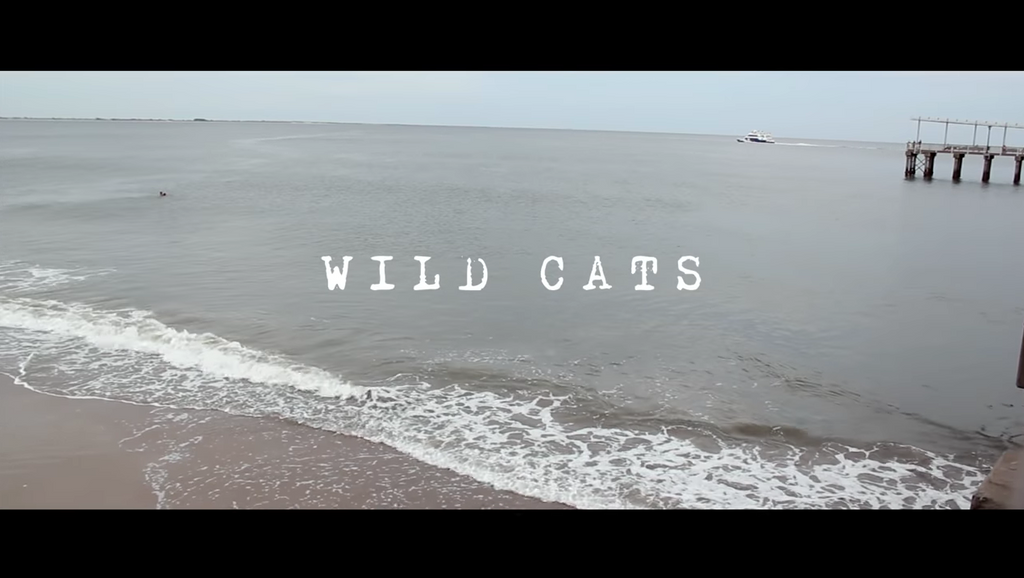 Video: DJ Skizz "Wild Cats" ft. Milano Constantine & Nem$